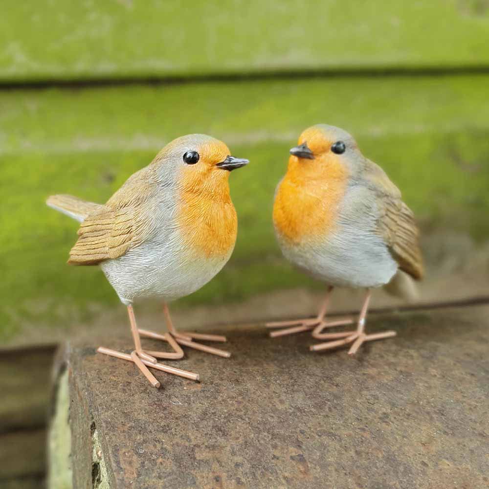 Bird survey report released, another achievement in the name of Madhya ...